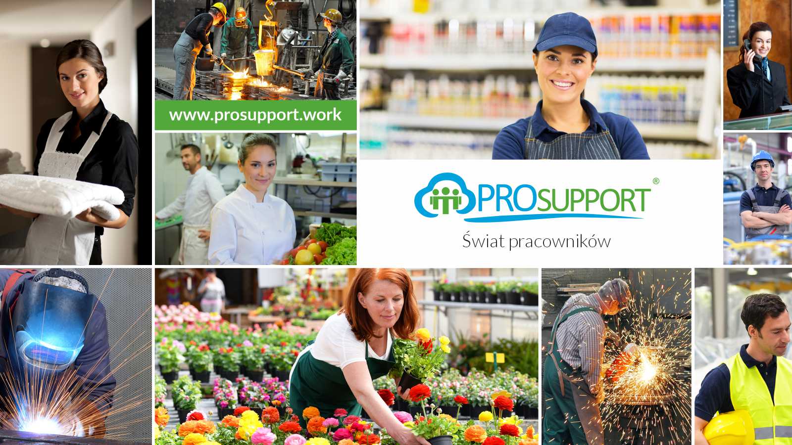 Kandydat - Prosupport